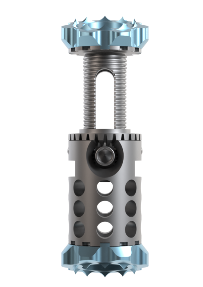 Vertebral Body Replacement