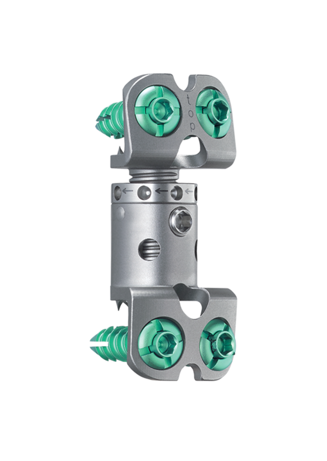 Vertebral Body Replacement