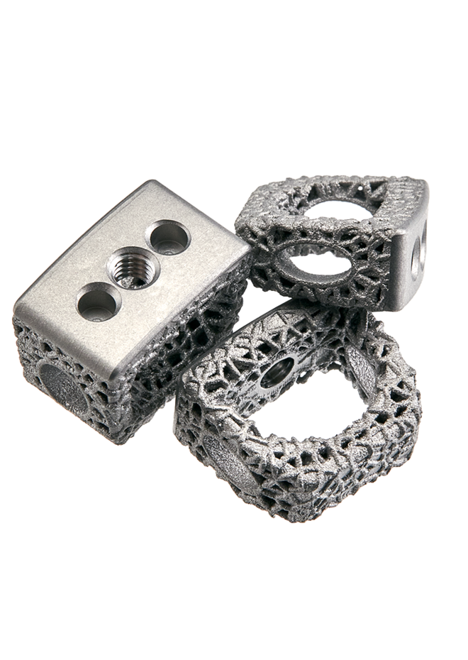 3D Porous Titanium Cervical Interbody