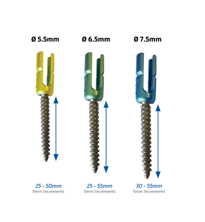 Momentum® - Posterior Spinal Fixation System