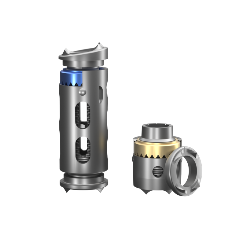 Solidity® - Vertebral Body Replacement