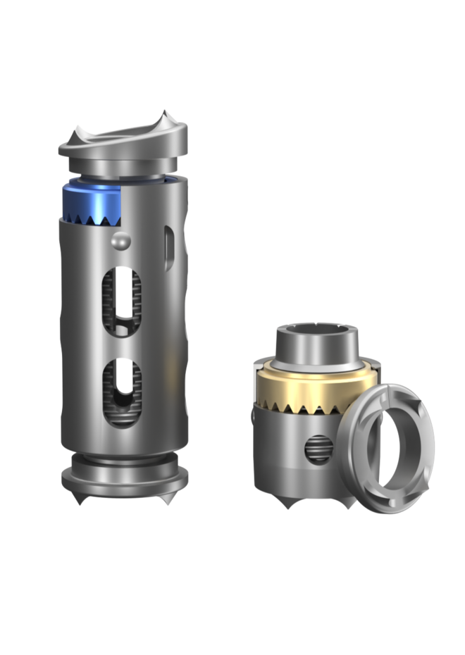 Vertebral Body Replacement