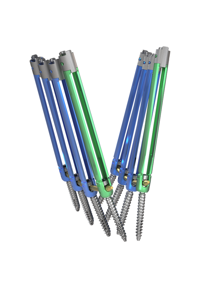 Posterior Spinal Fixation System