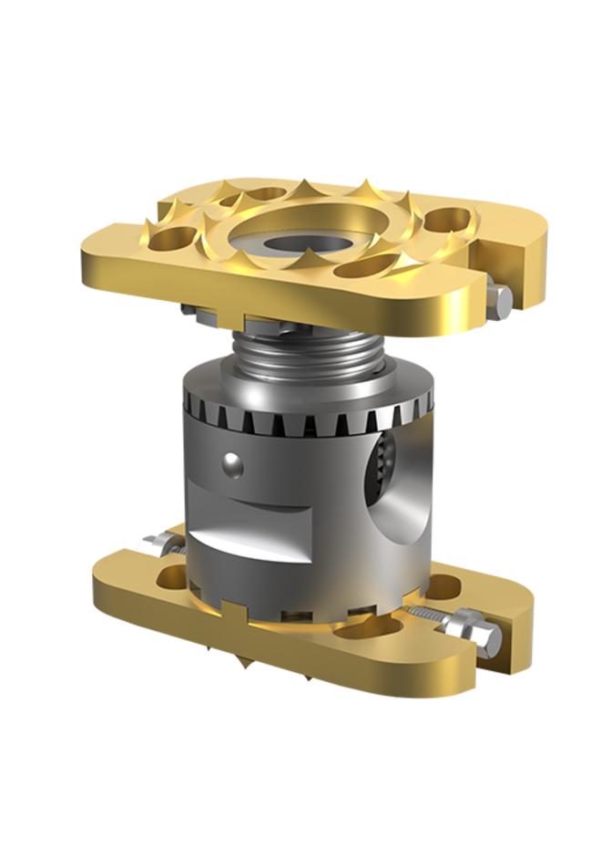 Vertebral Body Replacement